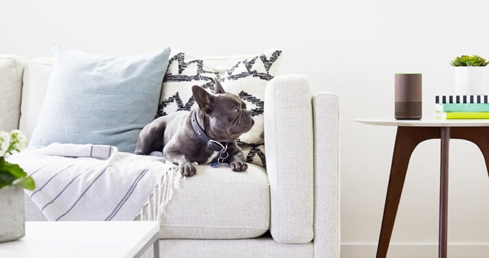 Easily Build Your Own Alexa Apps - Techlicious