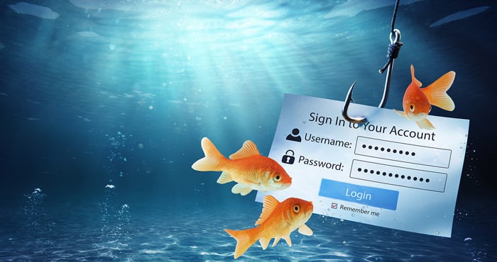 Don’t Get Caught by the Human Resources Self-Review Phishing Scam ...