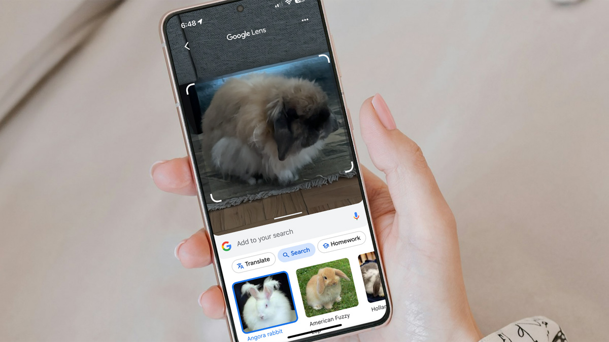 How to Use Your Phone’s Camera to Search - Techlicious